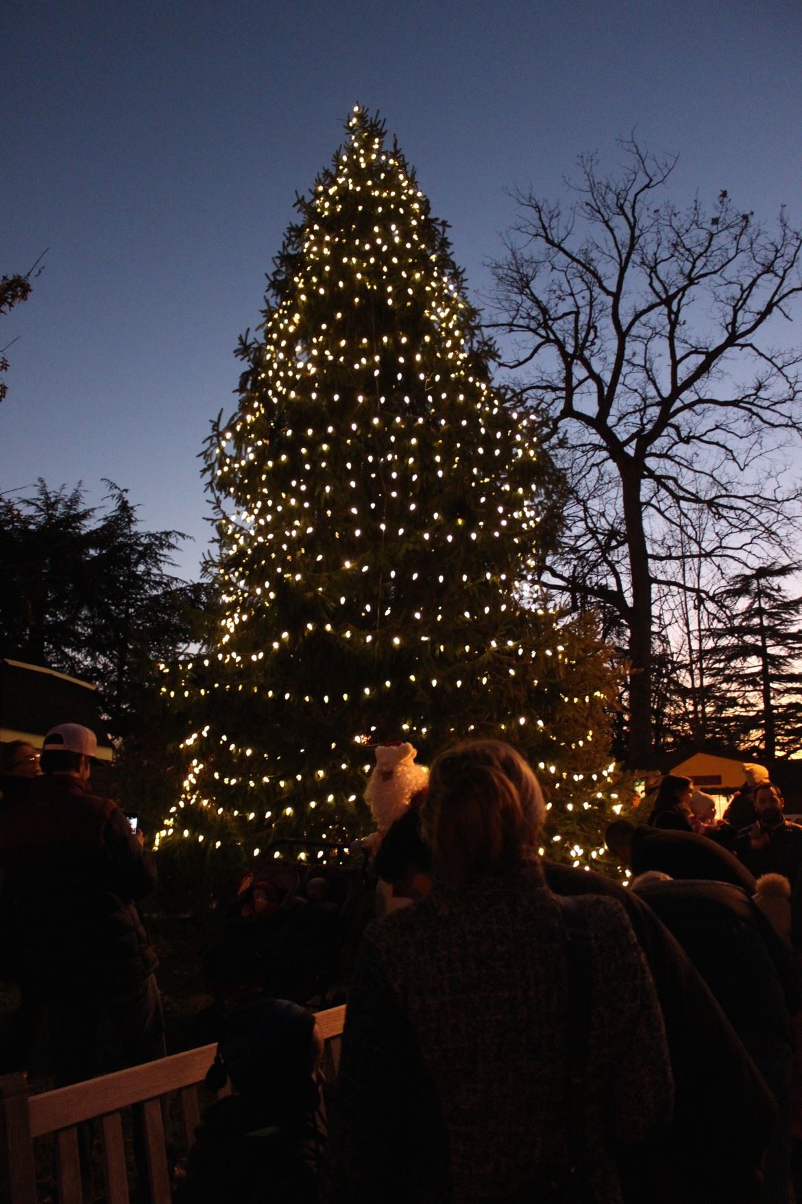 We're Calling It: The Best Maplewood Village Tree Lighting Ever - The ...