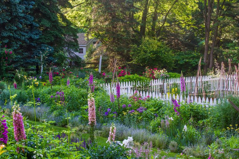 Learn How To Create A Layered Garden The Village Green learn-how-to-create-a-layered-garden-the-village-green