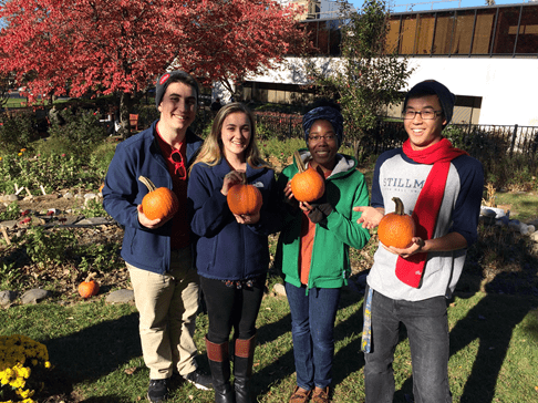Seton Hall University Hosts Harvest Fest to Promote Organic Gardens ...