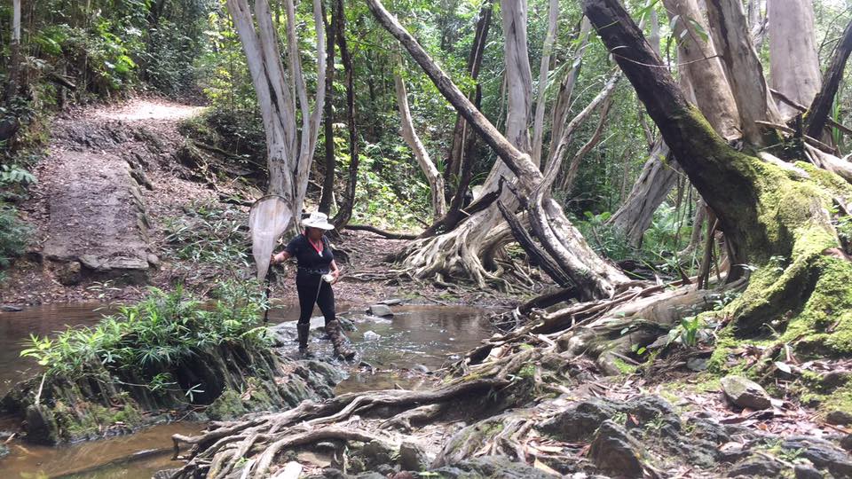 Durand-Hedden Hosts Evolutionary Biologist and Dragonfly Expert June 4 ...