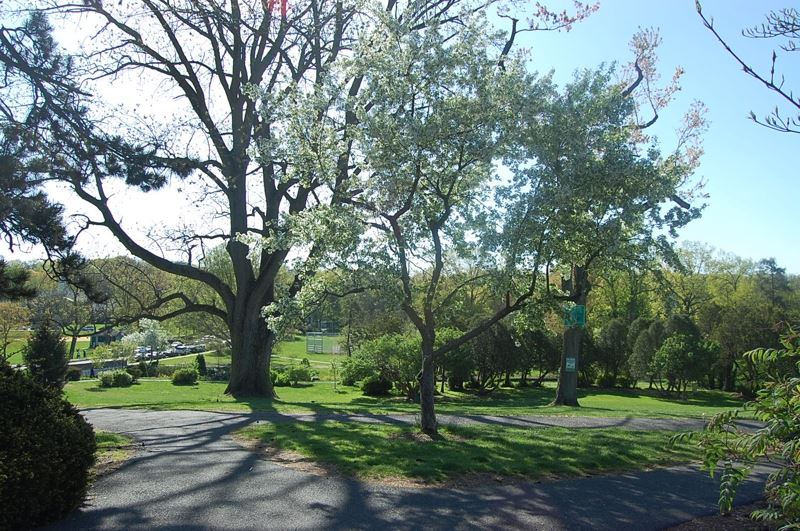 Maplewood Township Committee Votes to Shorten Park Hours - The Village ...