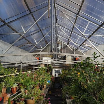 Greenhouse Space Available to Maplewood Residents for 2020–21 Season ...