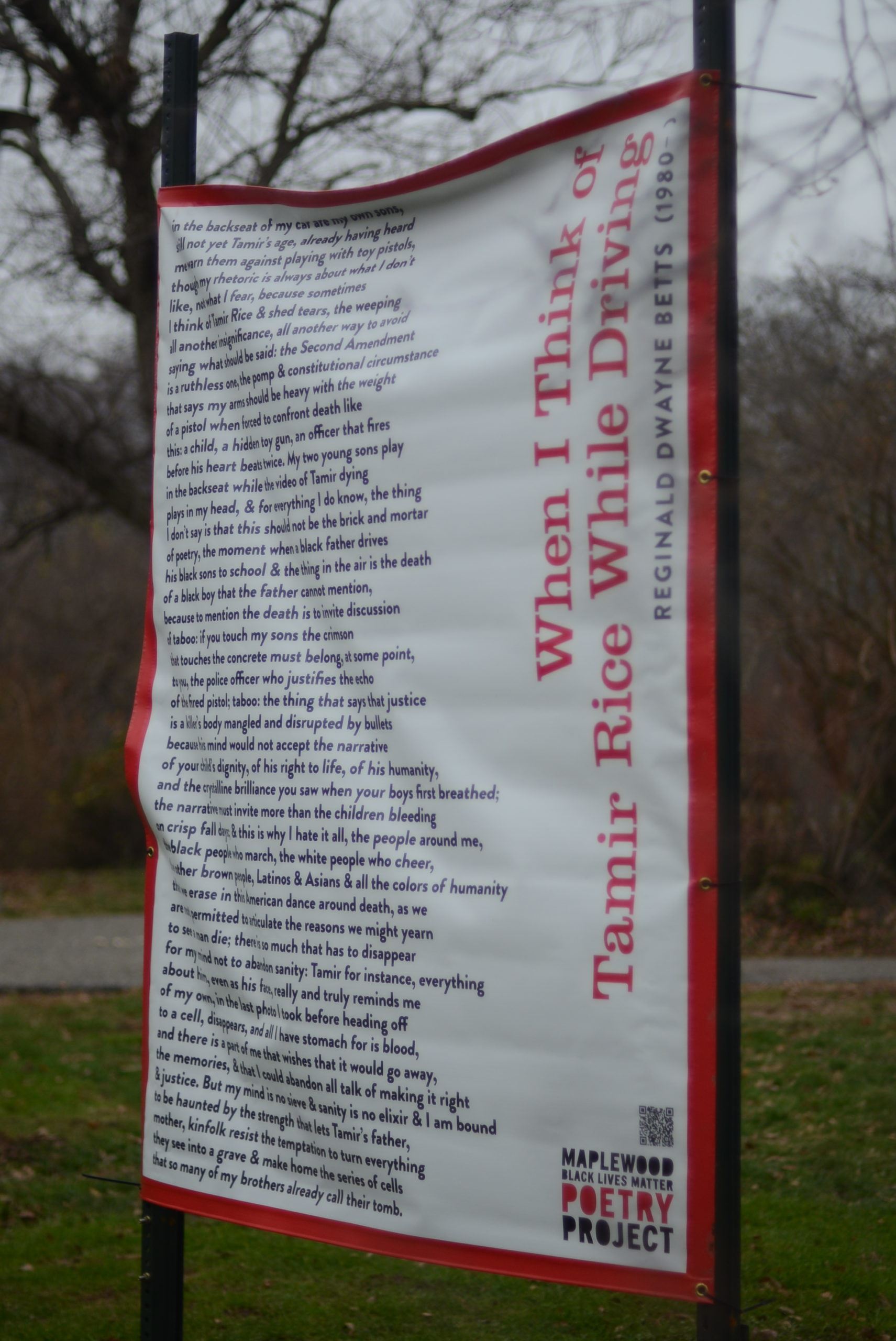 PHOTOS: Black Lives Matter Poetry Project is Dedicated in Maplewood ...