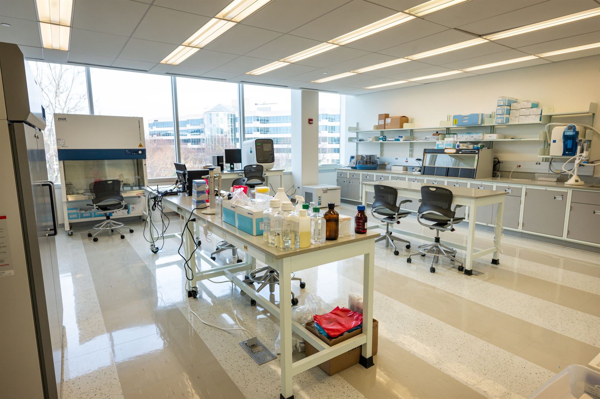 New Certified COVID-19 Testing Lab Opens at Kean University - The ...
