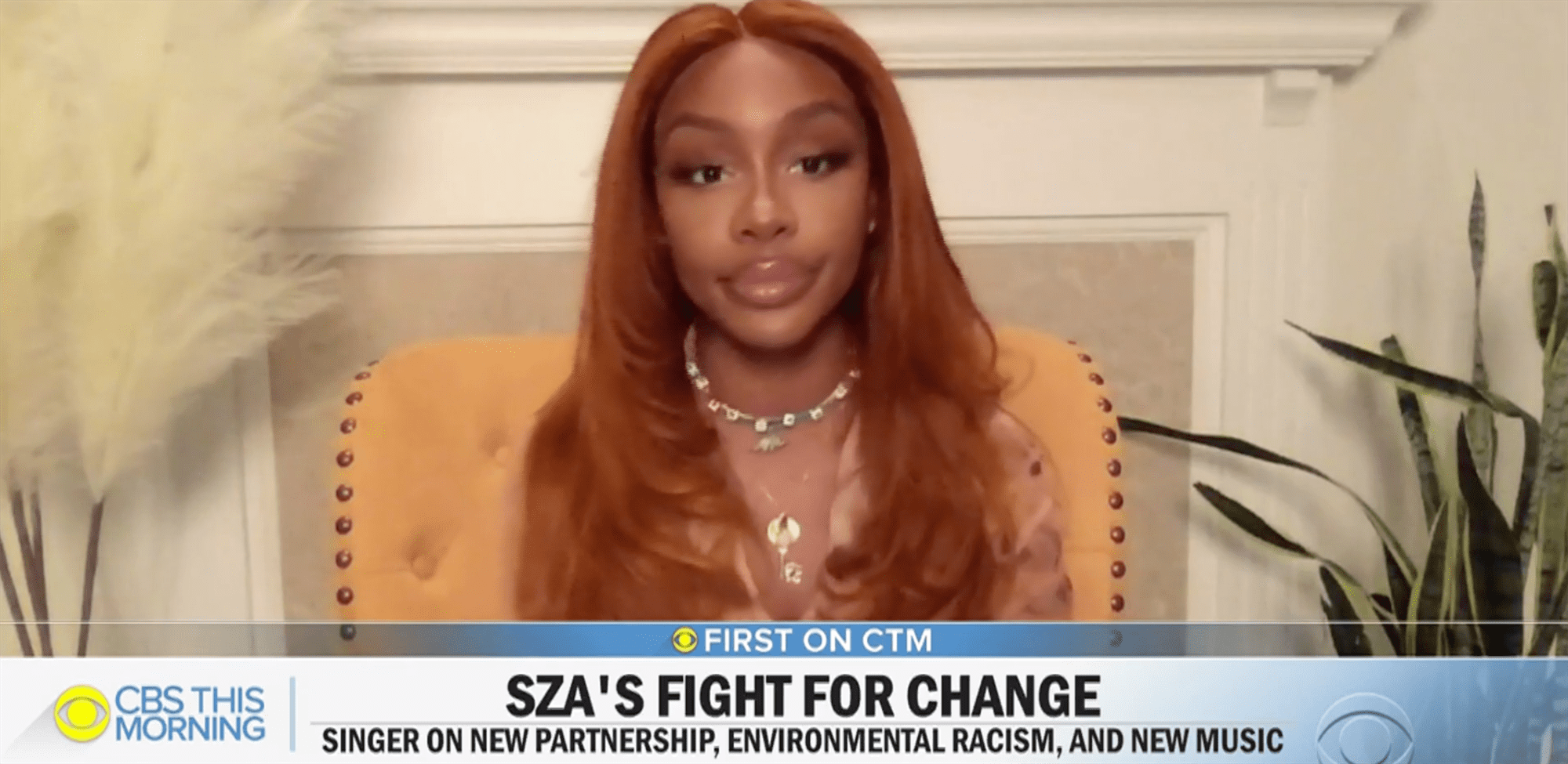 WATCH: SZA Gives Maplewood — and Trees — a Shoutout in CBS This Morning ...