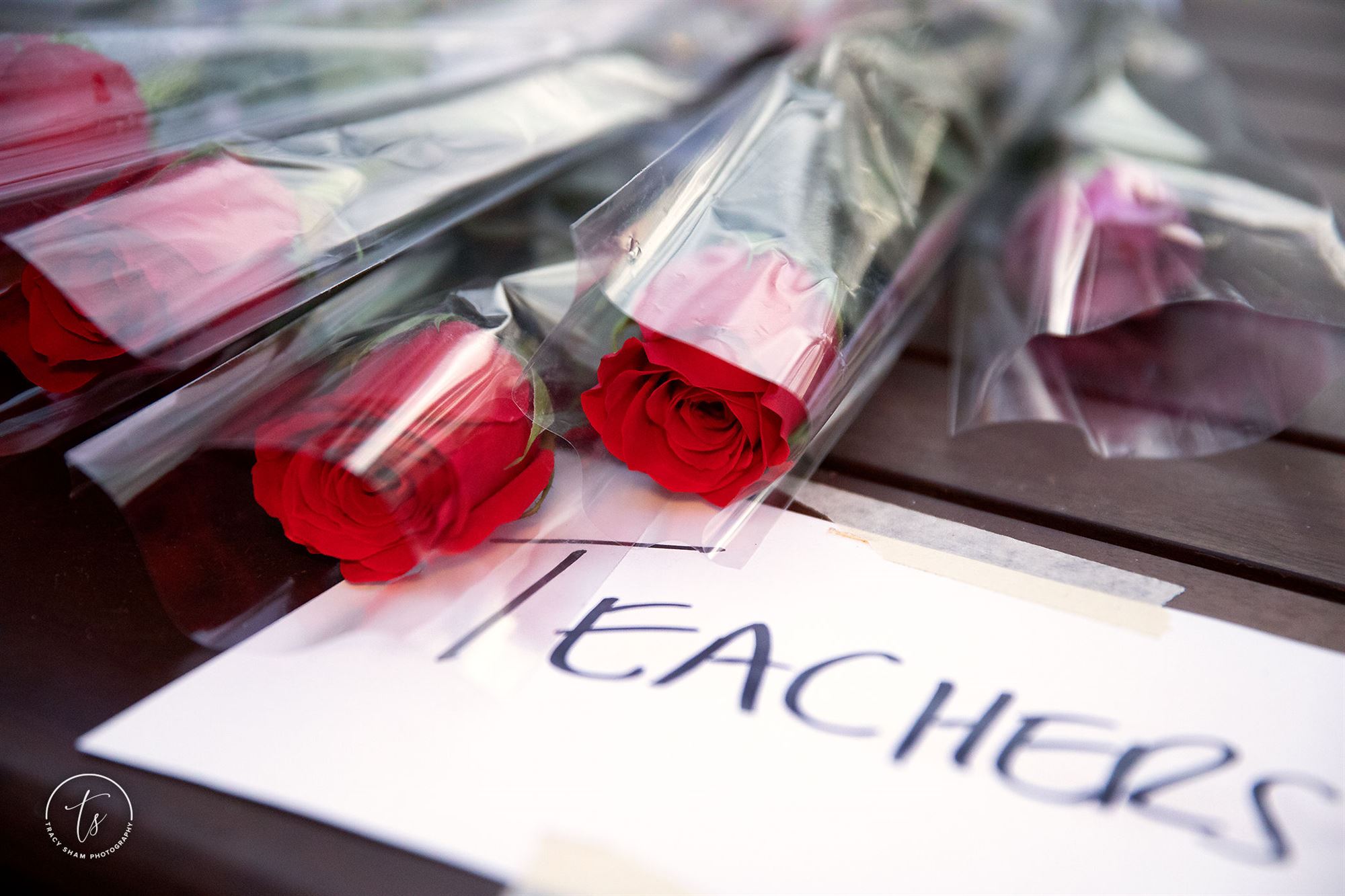 Roses for Teachers Archives - The Village Green