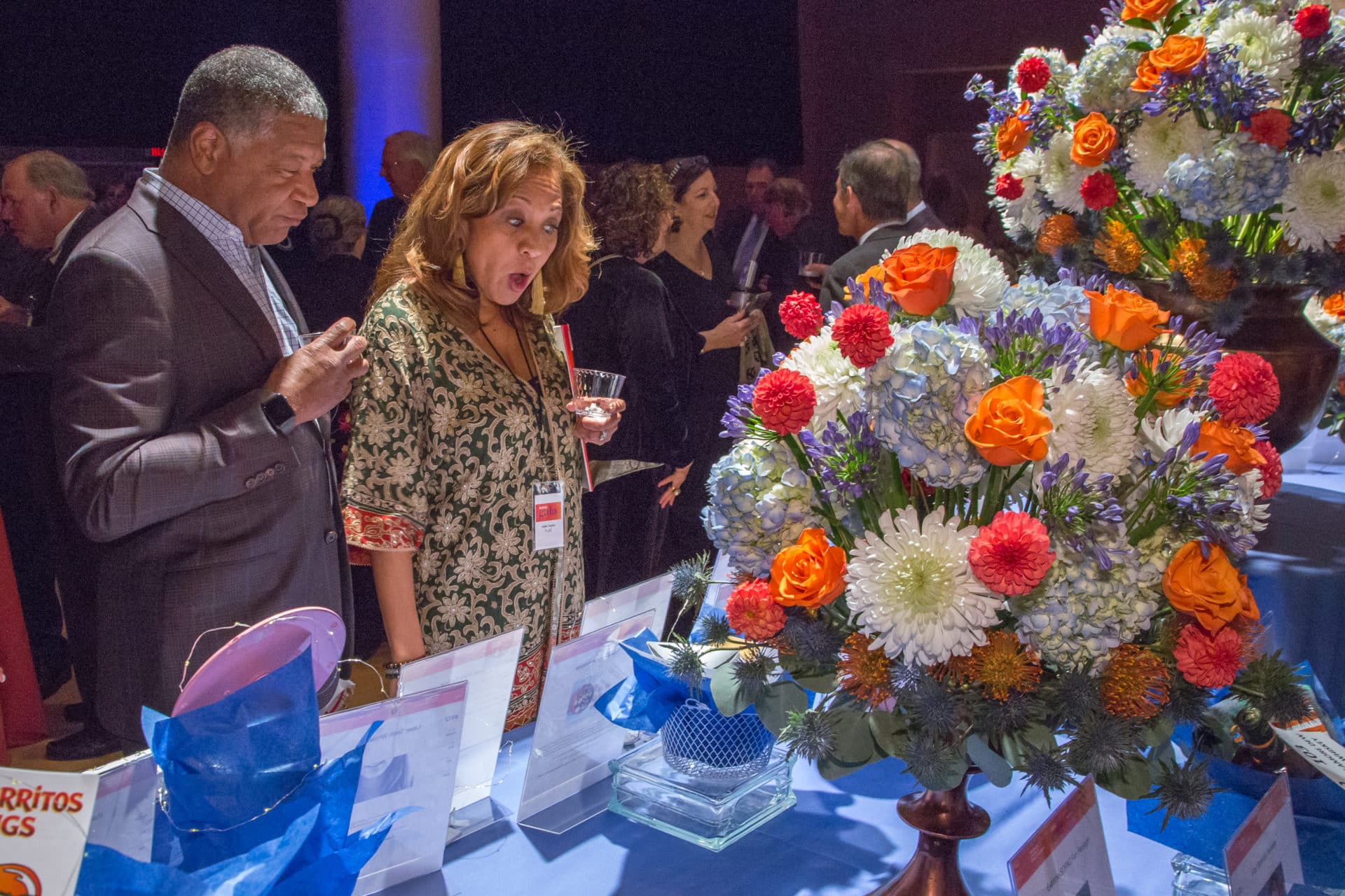 The SOPAC Gala Silent Auction is Live From November 1-6 - The Village Green