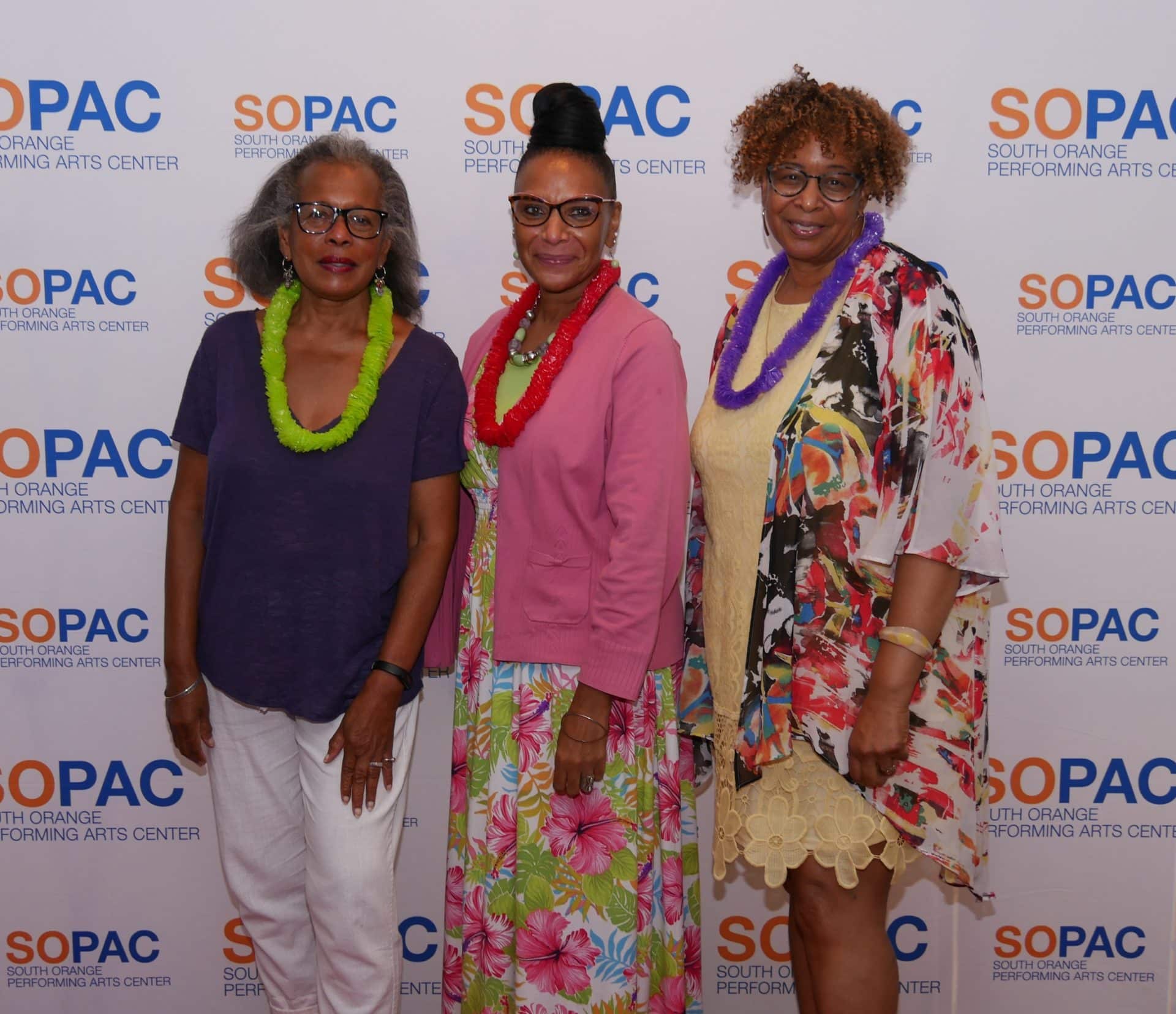 SOPAC Celebrates Volunteers at 2022 Awards Ceremony - The Village Green