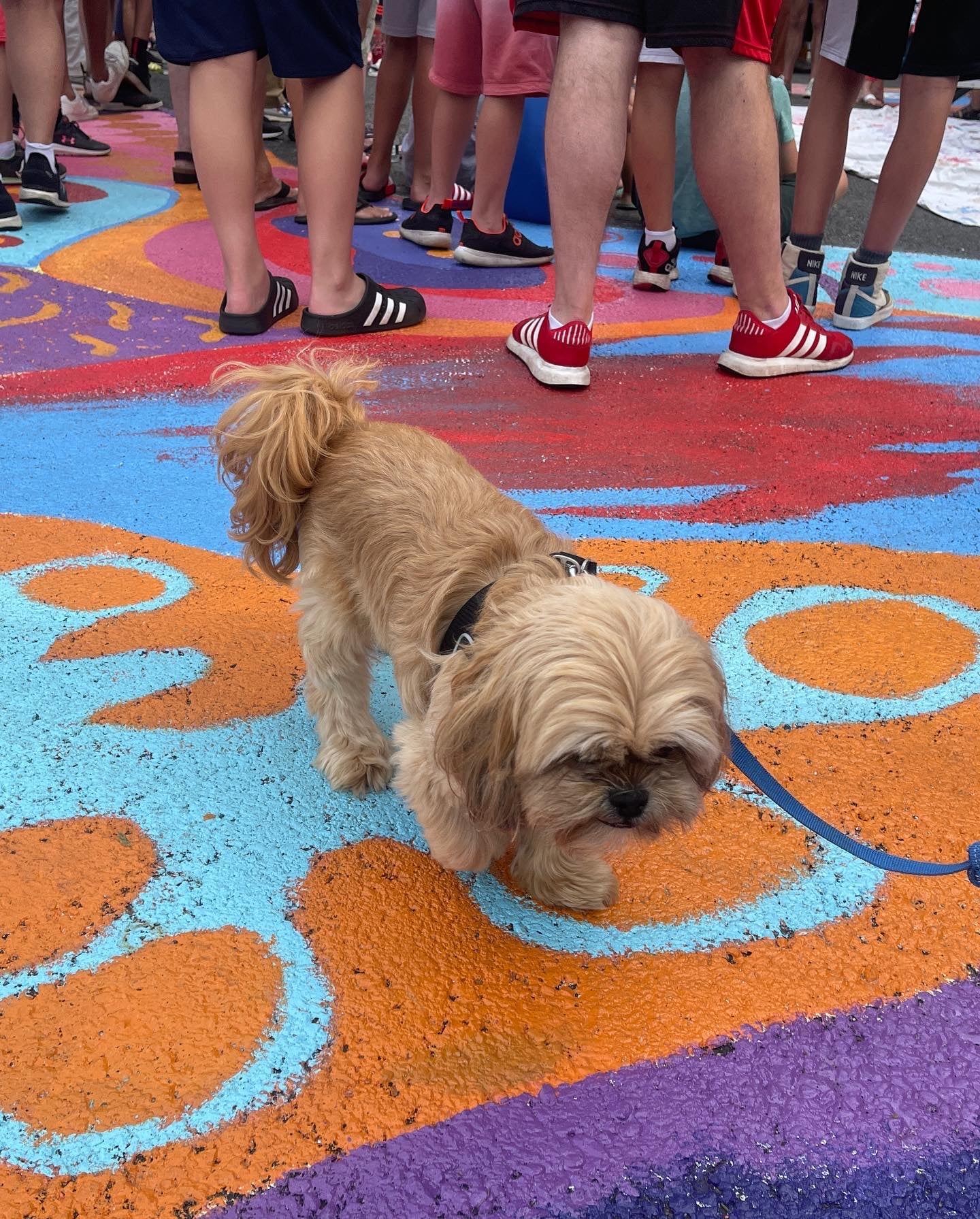 PHOTOS: Yale Corner 'Rivers' Mural Has Community Goin' With the Flow ...