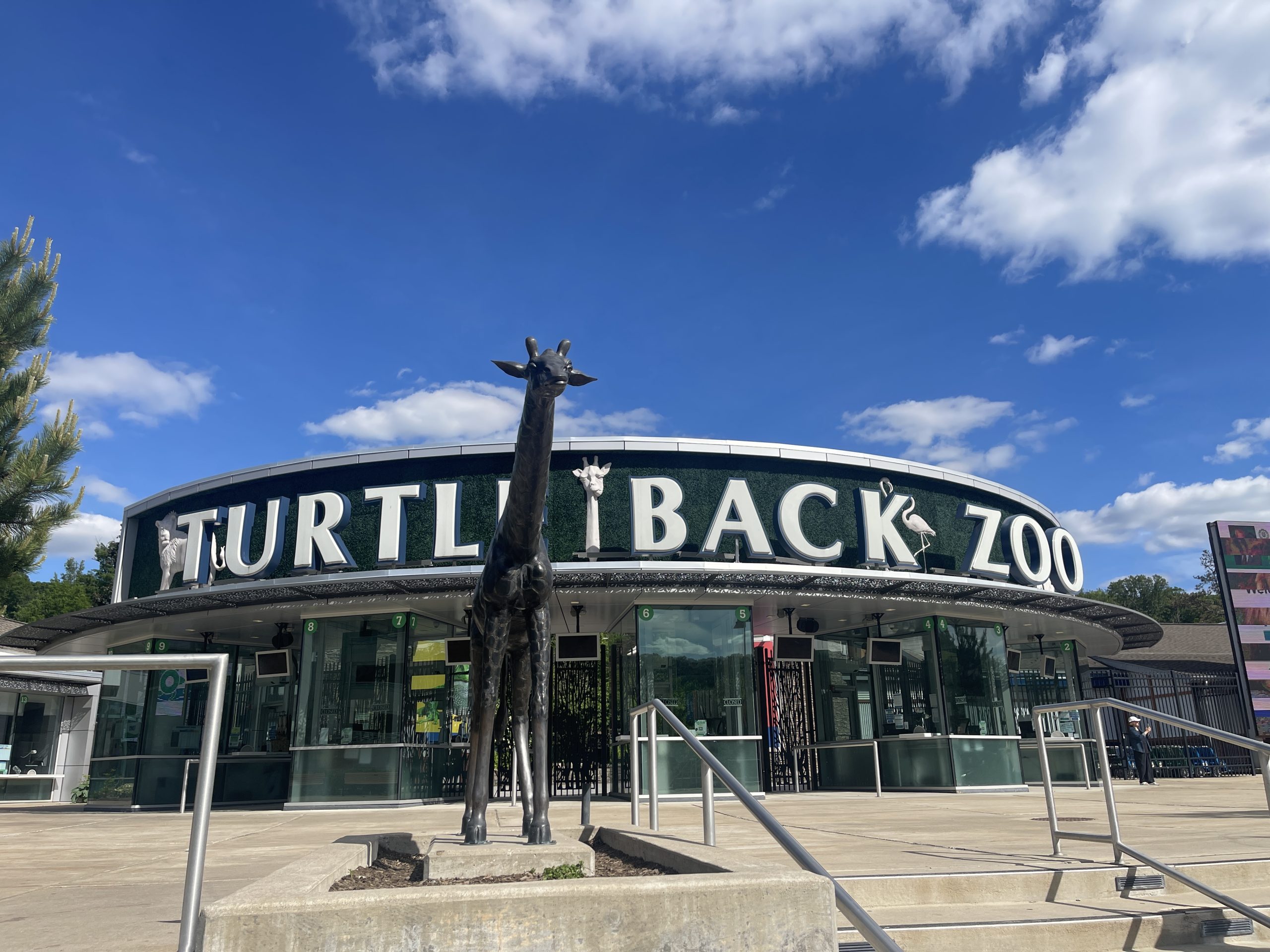 Jelly the Black Bear Briefly Leaves Her Enclosure at Turtle Back Zoo ...