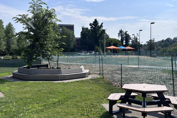 The Rising Influence of South Orange Mayor Sheena Collum in New Jersey ...