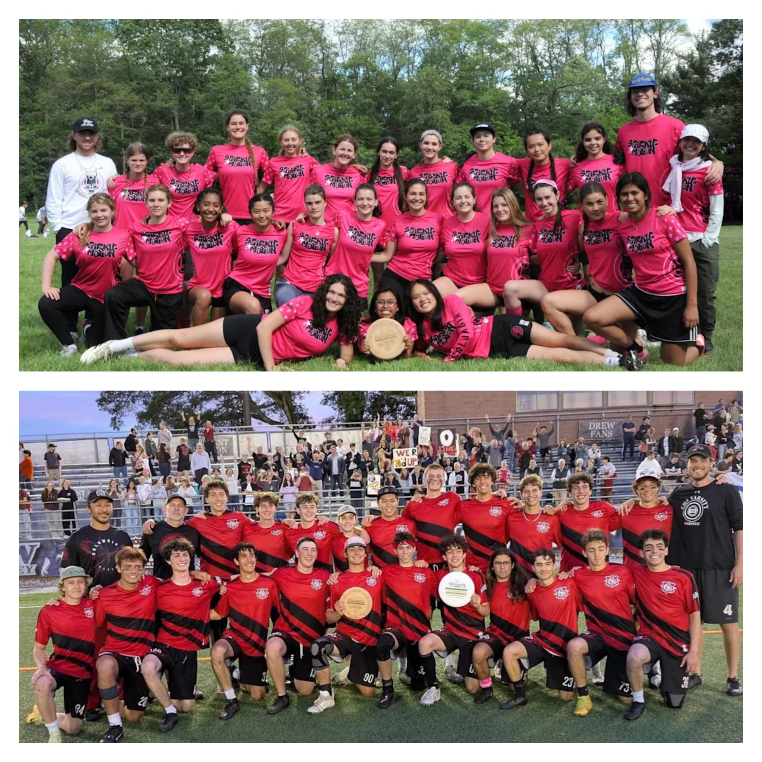 CHS Ultimate Frisbee Teams Sweep State Championships - The Village Green