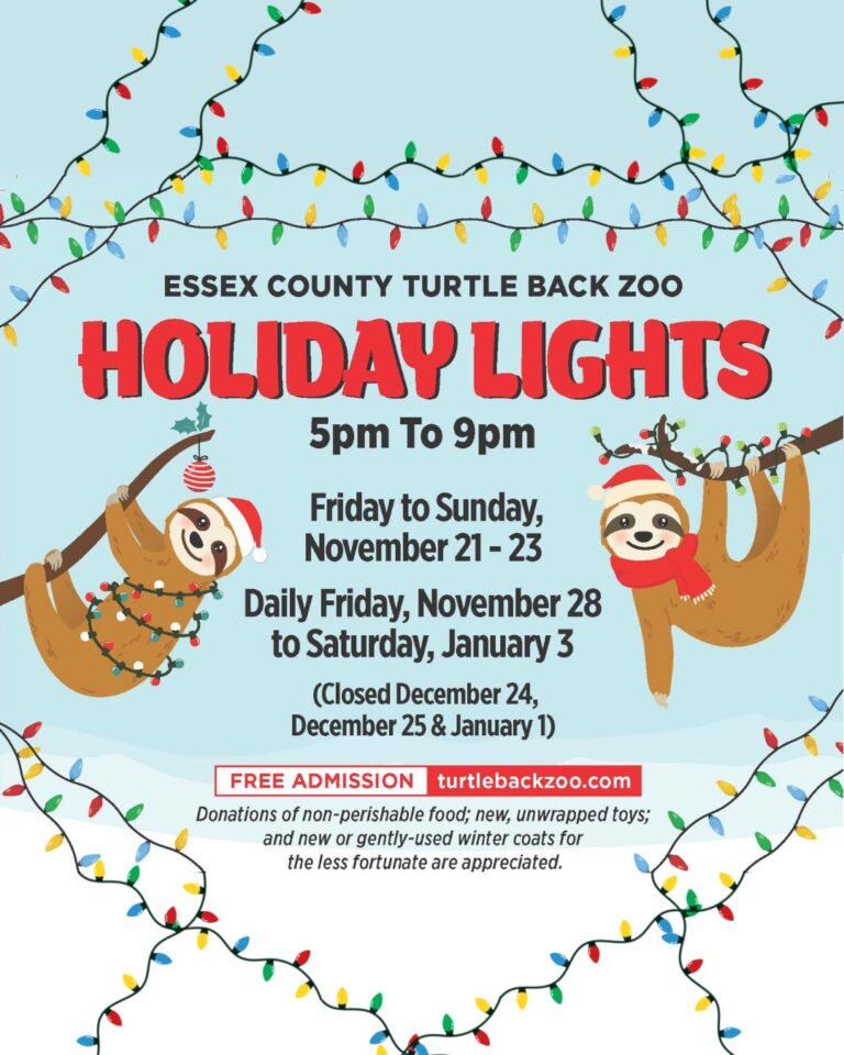Turtle Back Zoo Announces 'Holiday Lights Spectacular' Schedule - The ...