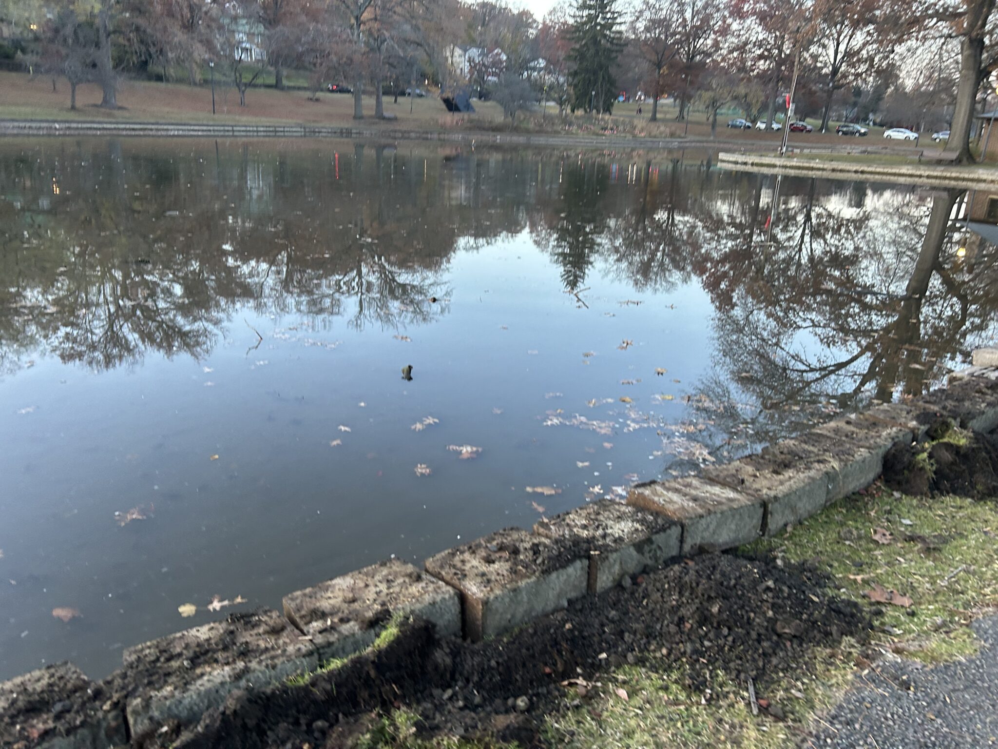 South Orange Restores Collapsed Retaining Wall at Duck Pond - The ...