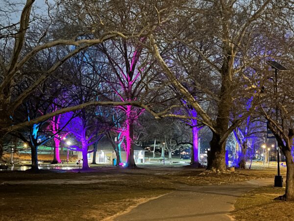 Spreading Light and Feeding Neighbors: The MLK Day Luminary Project ...