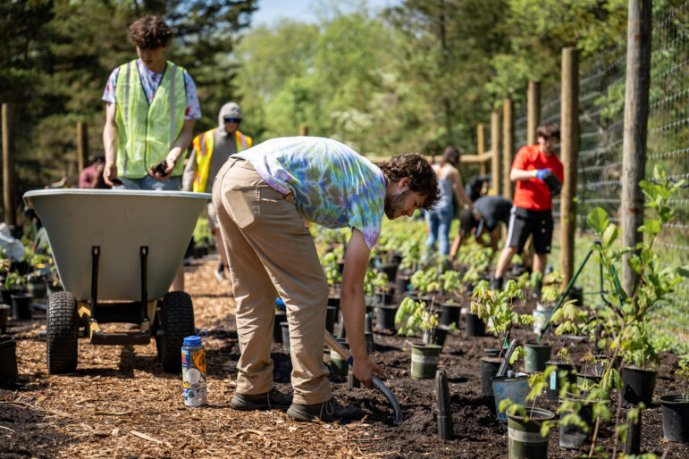 Maplewood's Josh Kover Makes Positive Change With Miniforest Planting ...